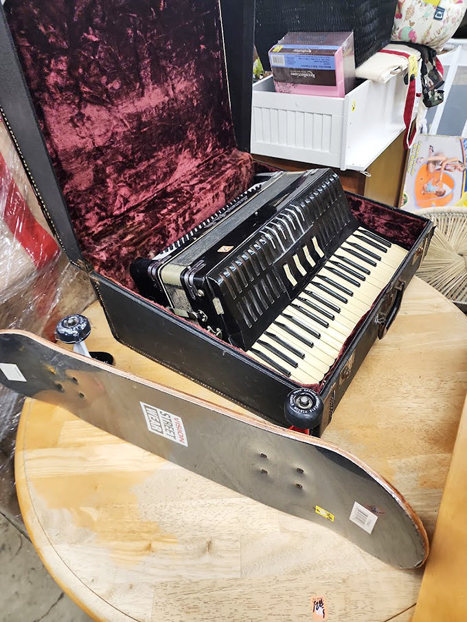 An accordion and skateboard share unlikely shelf space—the perfect metaphor for thrift store magic where disparate treasures coexist.