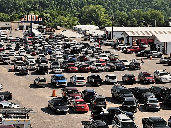 From above, the parking lot tells the true story—this isn't just shopping, it's a community gathering that draws crowds from across the region.