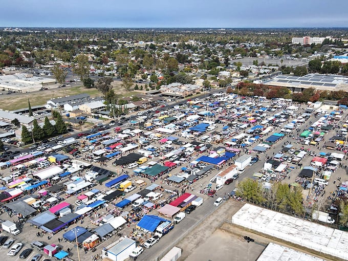 The magnificent sprawl from above—an aerial view of California's shopping democracy in action, where thousands gather in the pursuit of deals.