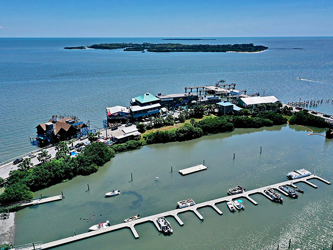 Aerial perspective reveals Cedar Key's perfect isolation, surrounded by nature's own moat of tranquility.