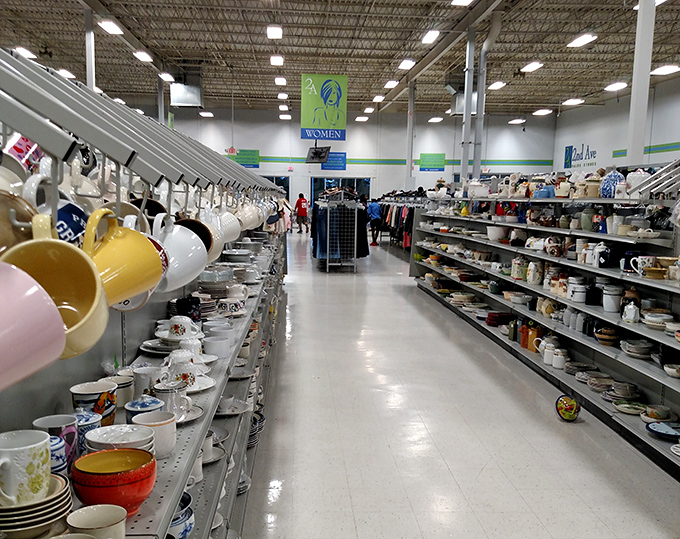 Mugs to the left, plates to the right—this kitchenware aisle could furnish your cabinets for pennies on the dollar.