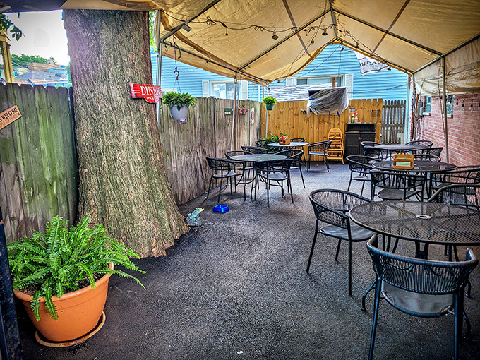 The outdoor seating area offers a leafy respite from the diner's energetic interior—same great food, now with vitamin D and birdsong.