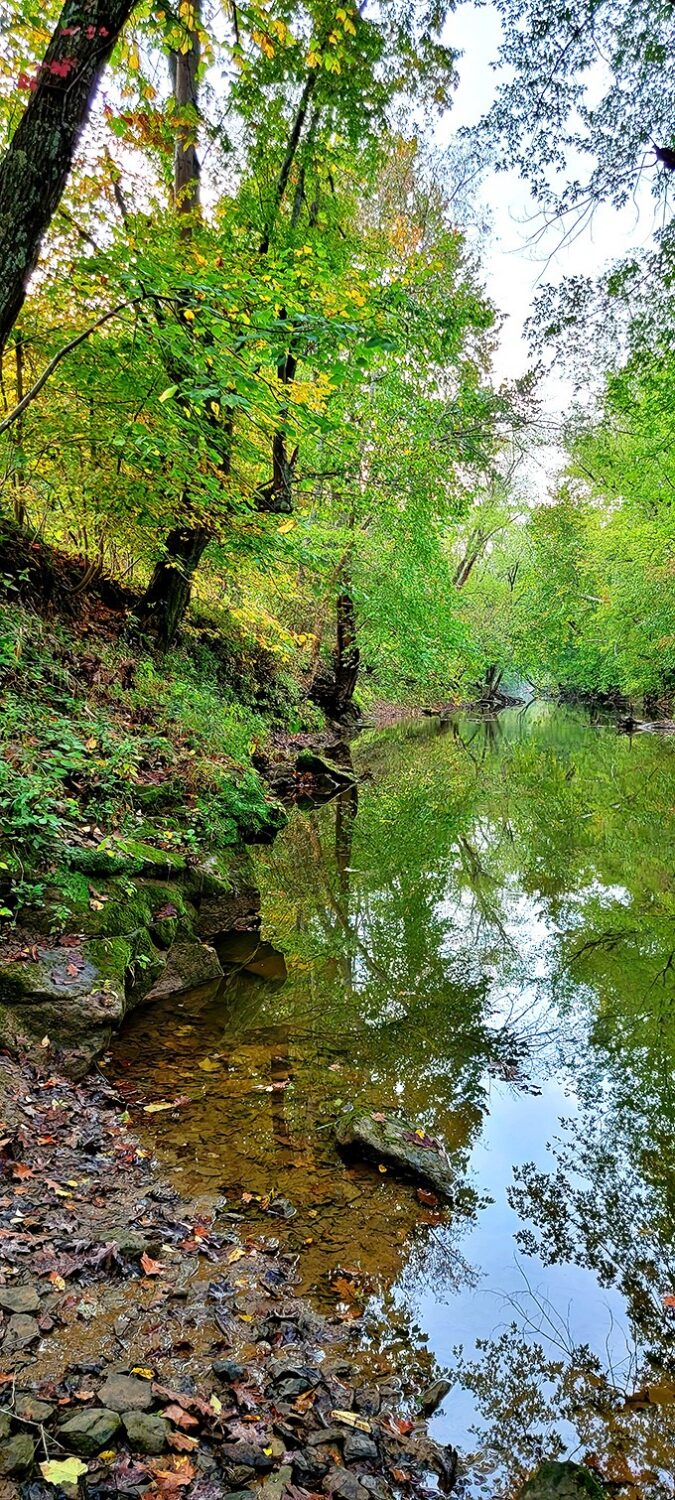 The creek's gentle current has flowed beneath this bridge through wars, depressions, and the entire digital revolution—some things remain beautifully constant.
