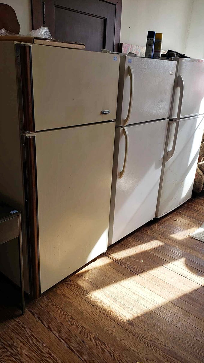The appliance graveyard isn't so much an ending as a beginning—these refrigerators are ready for their second act in your kitchen.