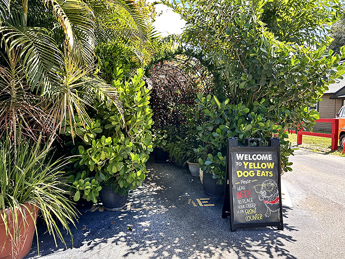 Nature creates the perfect entrance arch, as if the plants themselves are saying, "Trust us, you're going to love this place."