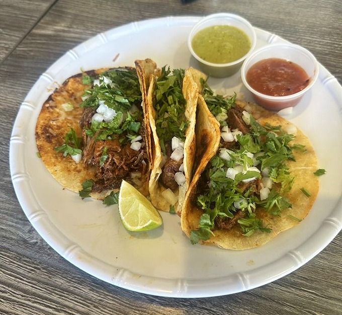 Tacos presented with the respect they deserve - fresh cilantro, diced onions, vibrant salsa, and that essential lime wedge. Street food elevated to art form.