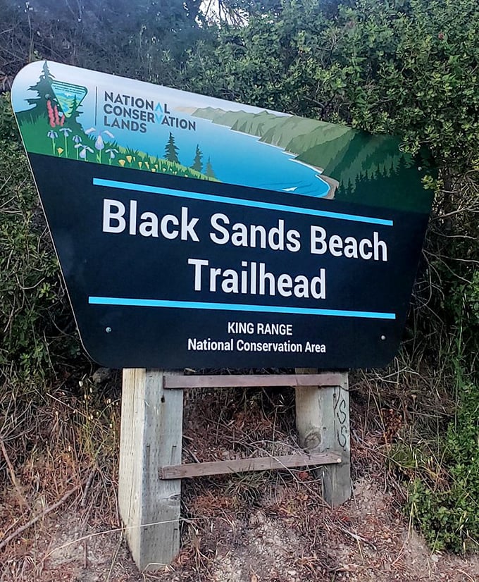 The trailhead sign: your official invitation to one of California's most remarkable coastal experiences. Adventure begins here.
