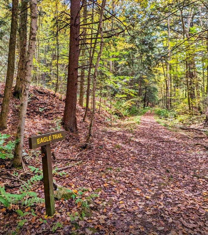 The Eagle Trail beckons with promises of adventure and the distinct possibility of getting your step count in. Nature's treadmill, but with better scenery.