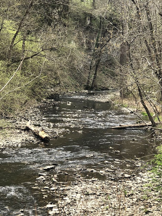 Upstream from the main event, Hayden Run Creek meanders quietly, gathering its courage before making that dramatic 35-foot plunge.