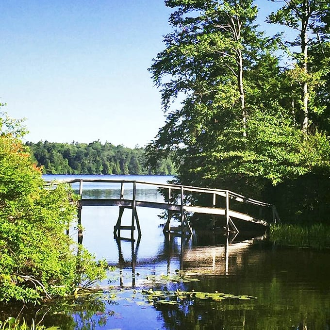This simple footbridge over Eagles Mere Lake offers more serenity per square foot than most luxury spa retreats – nature's therapy session without the new age soundtrack.