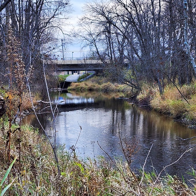 Winter's retreat reveals this peaceful creek, where bare trees stand like sentinels waiting for spring's green revival.