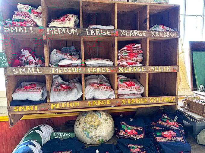 Farm-branded apparel neatly organized by size—because nothing says "I picked berries before it was cool" like a Swanton Berry Farm hoodie.