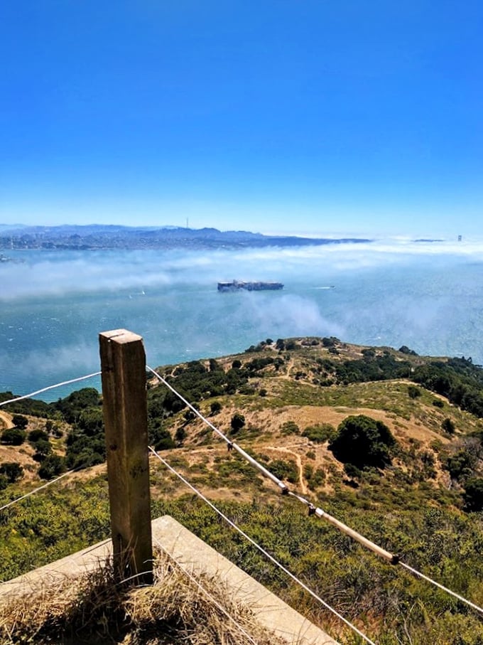 Angel Island's elevation rewards hikers with this heavenly spectacle—where fog transforms San Francisco Bay into a cotton candy dreamscape.