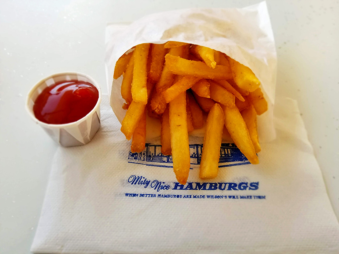 Golden fries served in paper – crispy outside, fluffy inside, and the perfect vehicle for ketchup. The wrapper proudly proclaims "Mighty Nice Hamburgs" – an understatement if there ever was one.