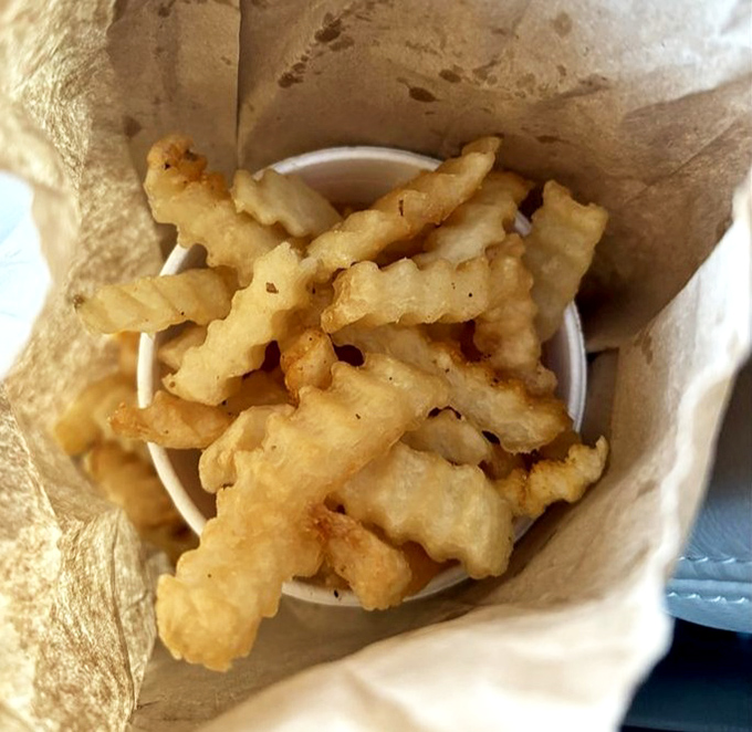 Crinkle-cut fries nestled in their paper bag—the perfect supporting actor to the sandwich star. Crispy, golden, and never trying to steal the scene.