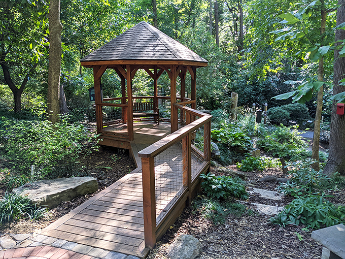 This wooden gazebo isn't just a resting spot – it's nature's conference room, where the only agenda is peaceful contemplation.