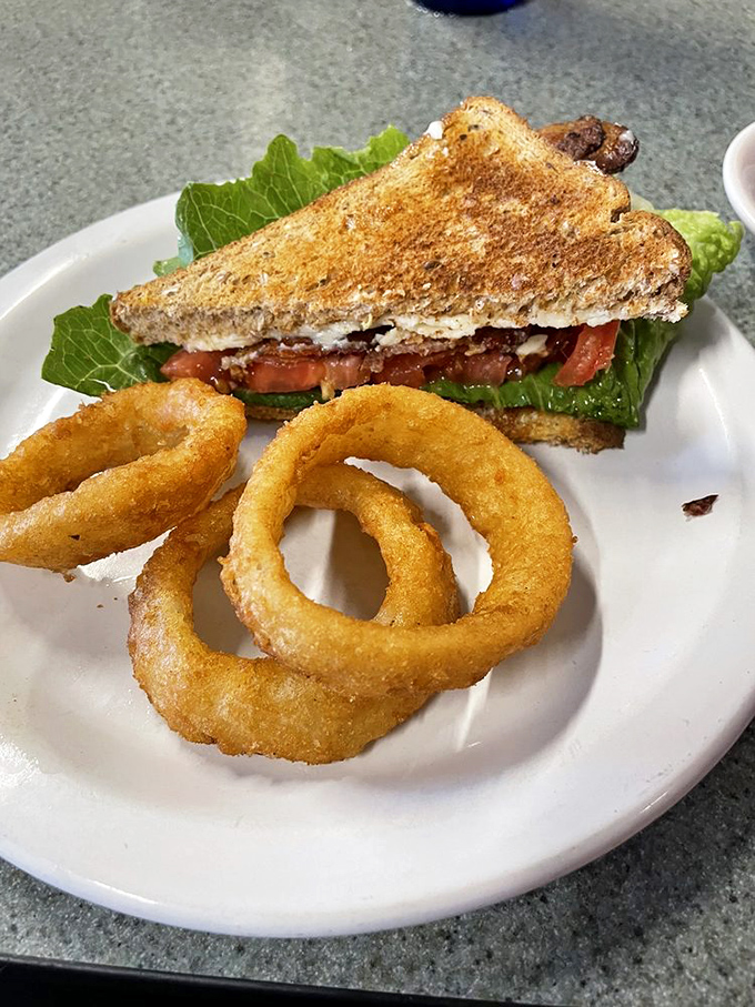 A sandwich so good you only need half (leaving room for those onion rings). Proof that simplicity, when done right, outshines complexity every time.