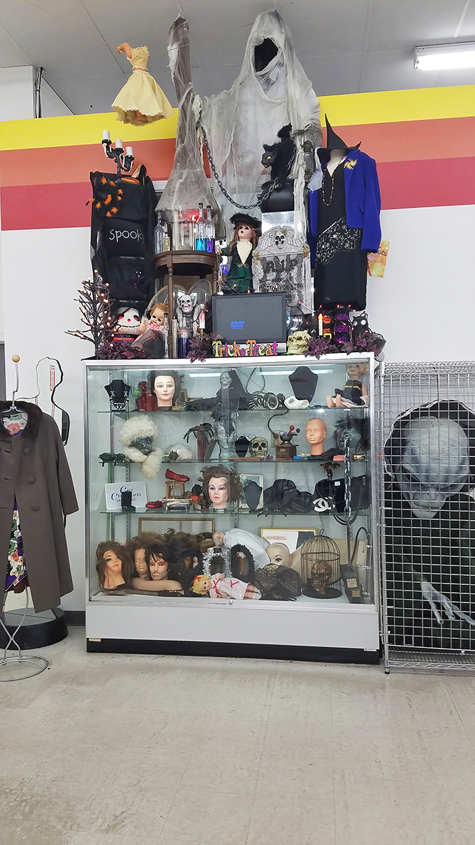 Halloween never truly ends at Value Village, where mannequin heads and spooky decorations create a year-round cabinet of curiosities.