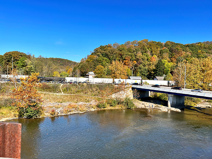 Even the highway bridge pauses to admire the view. Autumn in Ohiopyle transforms ordinary infrastructure into frames for extraordinary beauty.