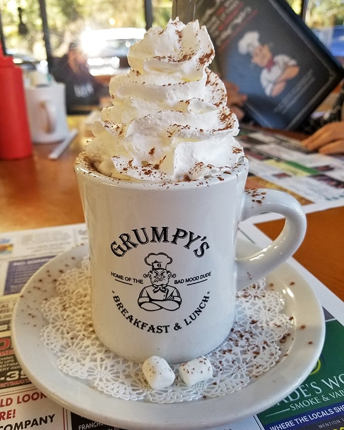Hot chocolate topped with a whipped cream mountain dusted with cinnamon. The kind of drink that makes you forget Florida rarely needs warming up.