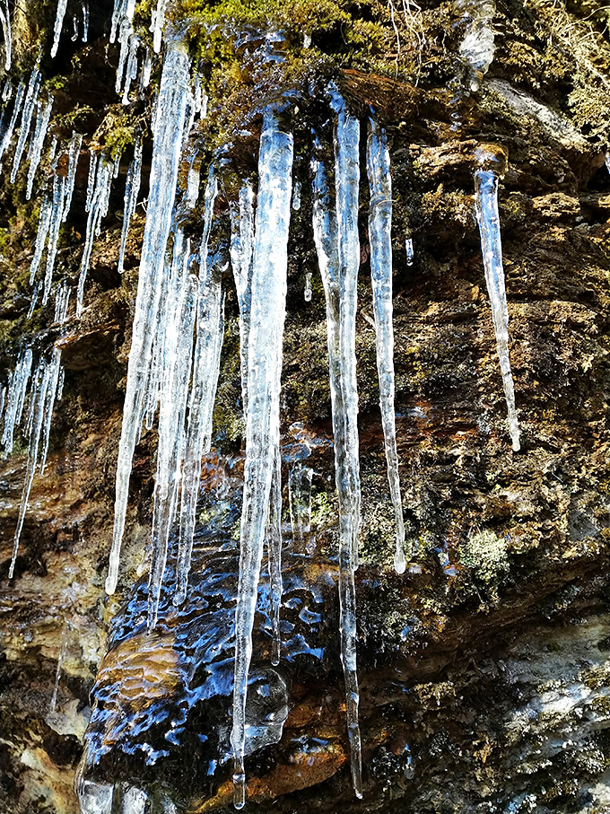Winter's crystal chandeliers hang with perfect precision – nature's way of saying "you think the waterfall is impressive? Hold my beer."
