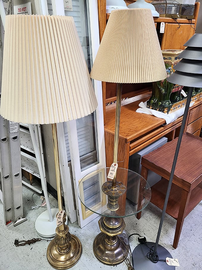 Illumination meets inspiration where lamps shed light on both rooms and the joy of smart shopping.