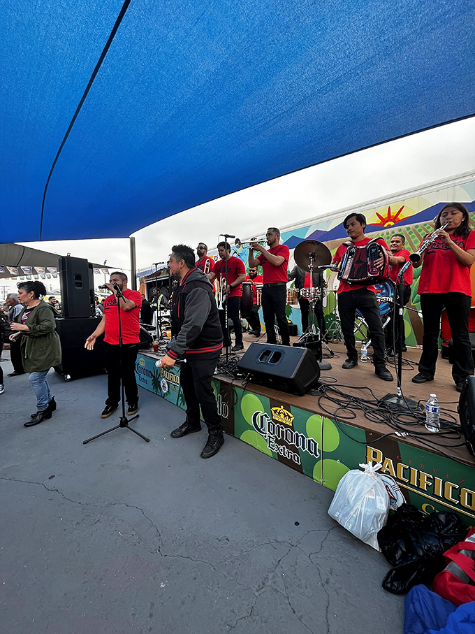 Live music adds the perfect soundtrack to your shopping adventure. These talented musicians turn an ordinary market day into a full-blown fiesta.