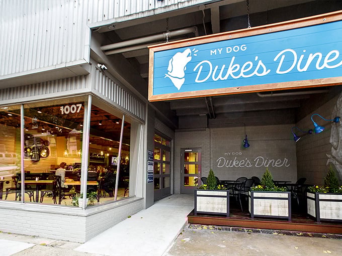 My Dog Duke's Diner serves up comfort food with a side of modern design, proving Lynchburg knows how to blend tradition with trends.