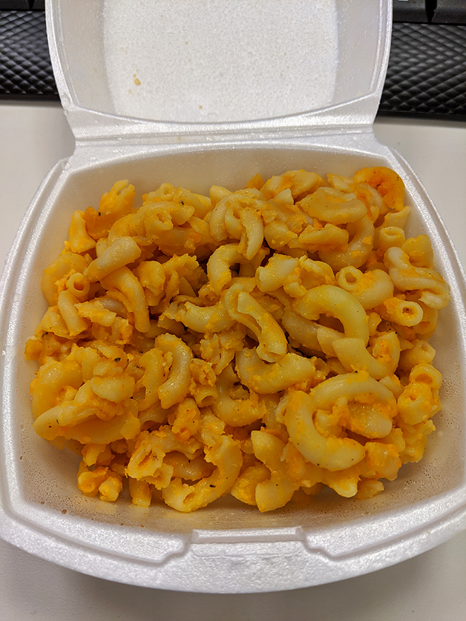 Mac and cheese that doesn't need to be fancy to be fantastic. Each elbow cradles just the right amount of cheese sauce—comfort food engineering at its finest.