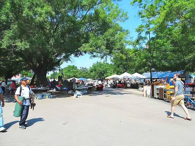 Summer market days offer shade and treasures. The leafy canopy provides relief while shoppers scan tables for that perfect something.