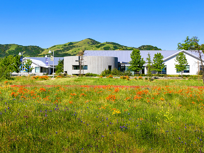 Wildflowers dance in the foreground while modern architecture makes a bold statement—proof that Lakeport balances natural beauty with forward thinking.