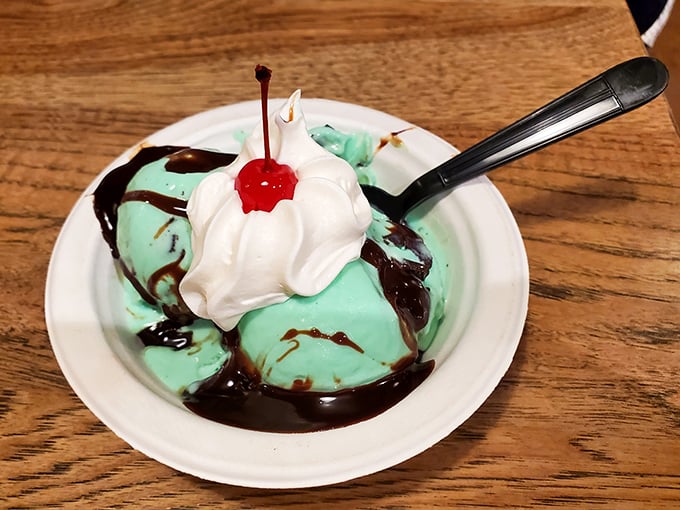 Mint ice cream drizzled with chocolate sauce and topped with whipped cream—like a refreshing breeze in a bowl.
