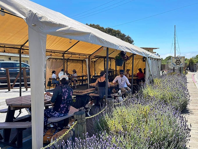 Outdoor dining surrounded by lavender – because great seafood deserves great scenery. California coastal dining at its most charming.