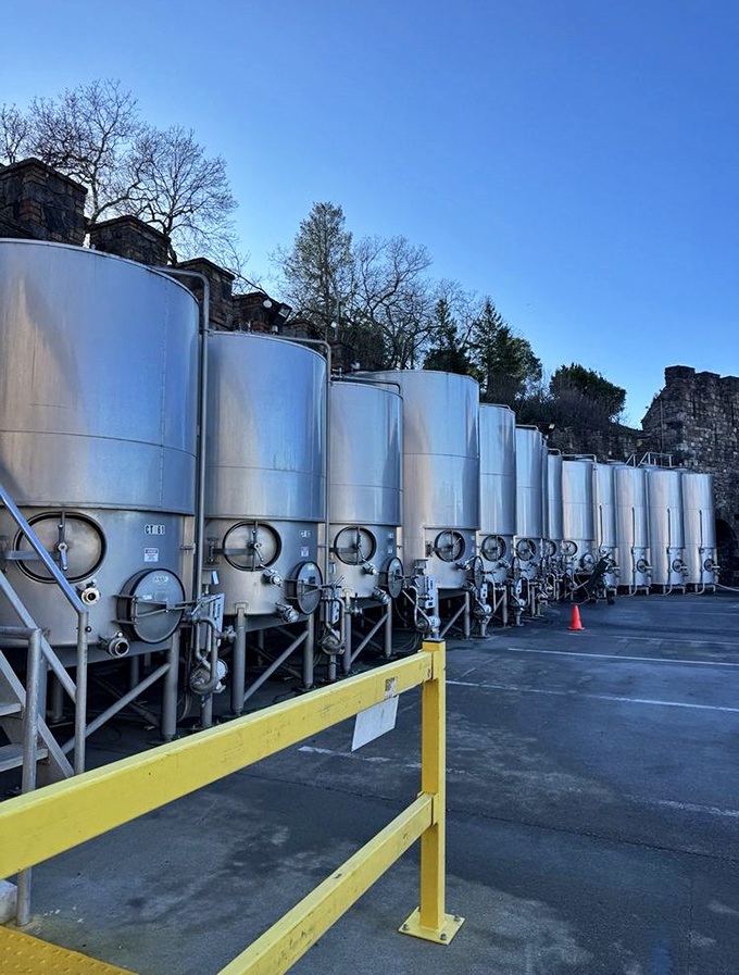 Massive fermentation tanks line up outside the castle walls like futuristic sentries guarding an ancient fortress, bridging centuries of winemaking tradition.