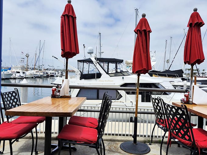 Waterfront dining that reminds you why people pay premium prices for coastal real estate – boats, breeze, and beautiful seafood all in one view.