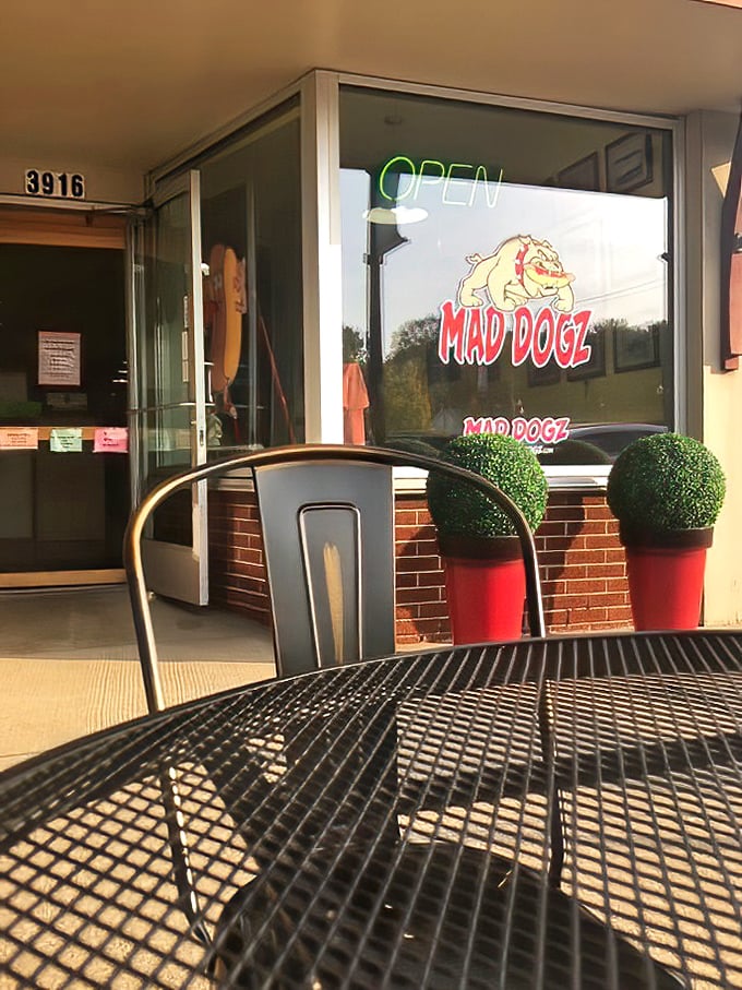 Those metal tables outside Mad Dogz aren't just furniture—they're front-row seats to the best show in town: watching newcomers' faces when they see their first loaded dog.