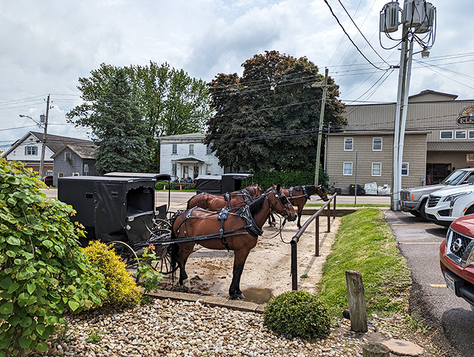 Where modern meets traditional – Amish buggies parked alongside cars. Two worlds sharing a love for good food.