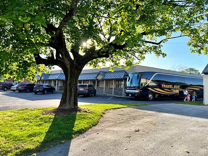 Even tour buses know where to stop in Amish country—under the shade of a grand tree outside Hometown Kitchen, where Pennsylvania's best kept secret awaits.