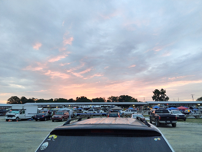 As sunset paints the sky, Big D's parking lot remains full of treasure hunters. Even dusk can't dim the thrill of the find.