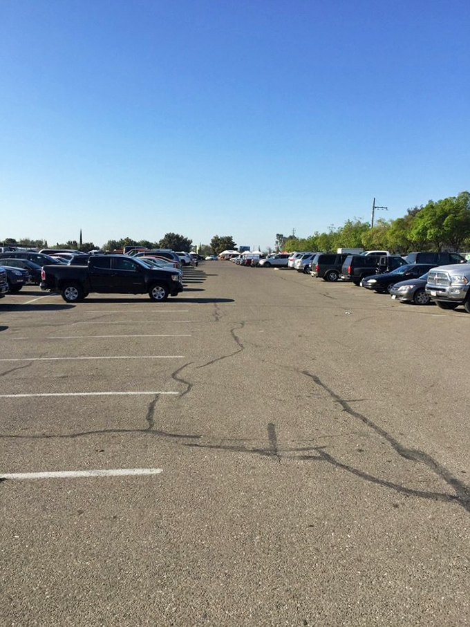 The parking lot – first challenge of the day. Your strategic parking choice determines how many treasures you can carry home.