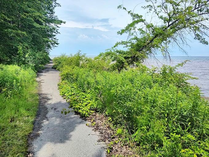This unassuming path leads to Lake Erie's embrace—proof that sometimes the simplest routes deliver the greatest rewards.