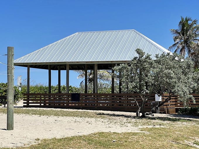 Shade with a view and a story. This beachside pavilion has witnessed countless family picnics, proposals, and impromptu dance parties.