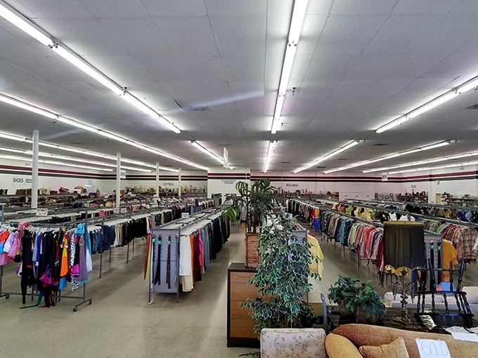The clothing forest stretches as far as the eye can see, a kaleidoscope of fabrics where fashion trends of decades past await rediscovery.