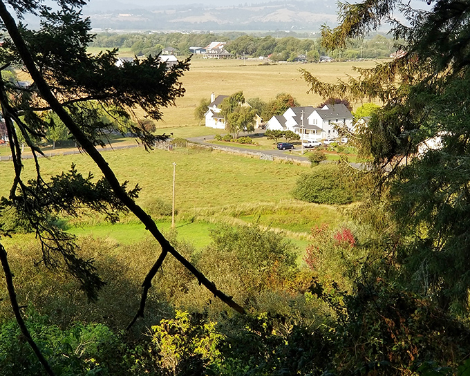 Beyond Ferndale's Victorian charms, the Eel River Valley unfolds in pastoral splendor, reminding visitors that nature wrote the original architecture manual.