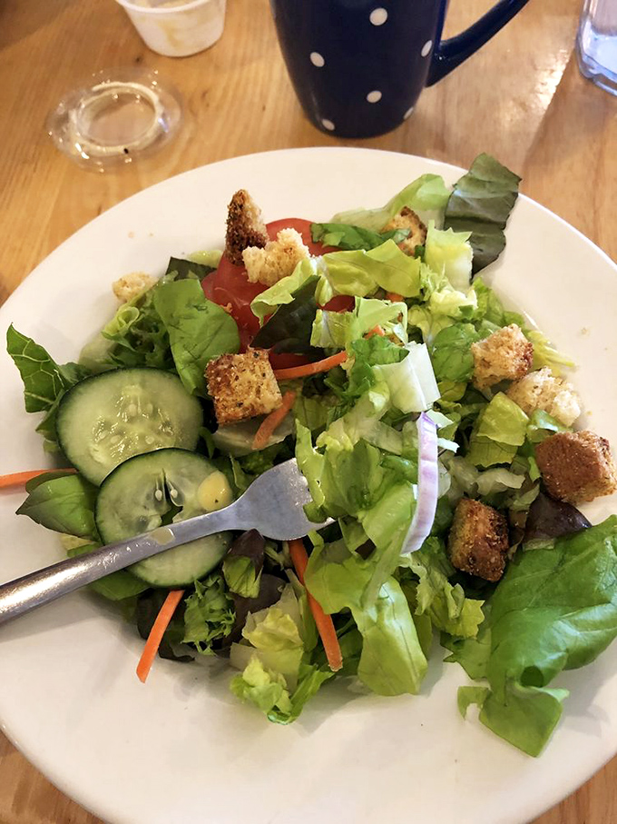 A garden on a plate that proves salads don't have to be punishment. Those homemade croutons didn't just show up—they arrived with purpose and conviction.
