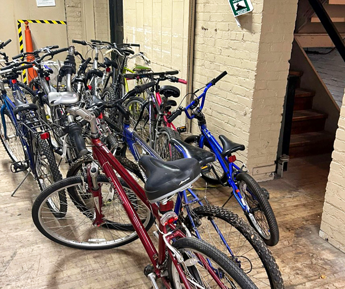 A fleet of bikes waiting for their second wind and your next adventure. That blue one looks fast even while standing still. 