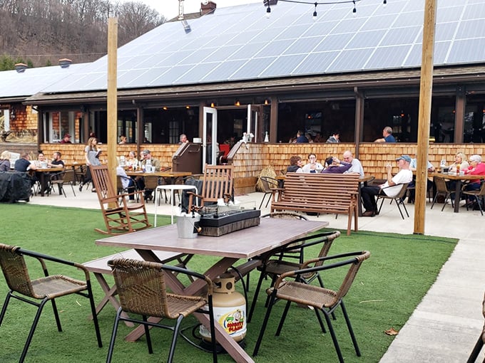 Shy Bear Brewing's outdoor patio invites you to sip craft beer beneath string lights while contemplating absolutely nothing important whatsoever.