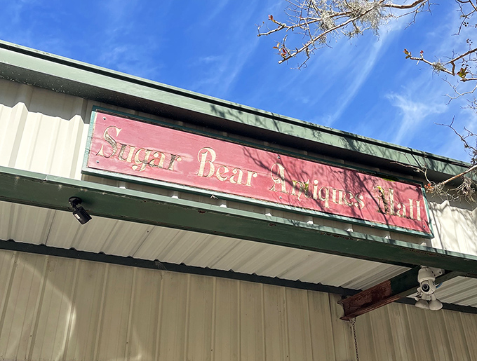 The vintage-style sign stands out against Florida's brilliant blue sky, beckoning curious travelers to pull over and discover what waits inside.