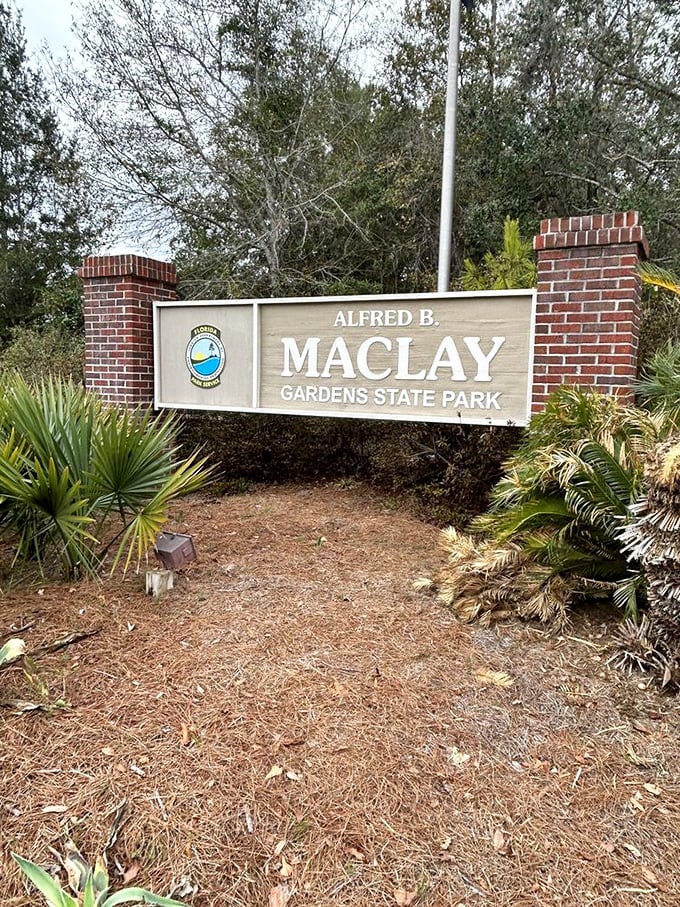 The entrance sign that marks the boundary between ordinary day and garden adventure. Your GPS can stop here – wonder takes over.