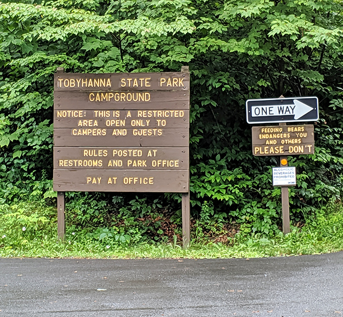 Nature's doorbell: park signage that politely reminds you bears don't appreciate dinner invitations. One-way to adventure starts here.